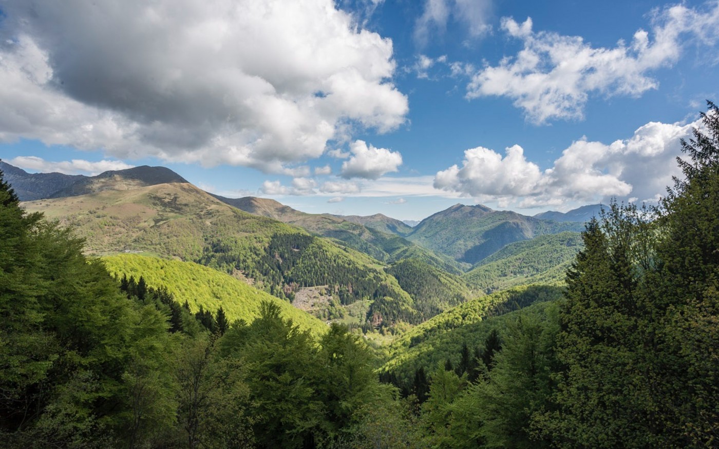 Linea insubrica, nella roccia la storia del mondo